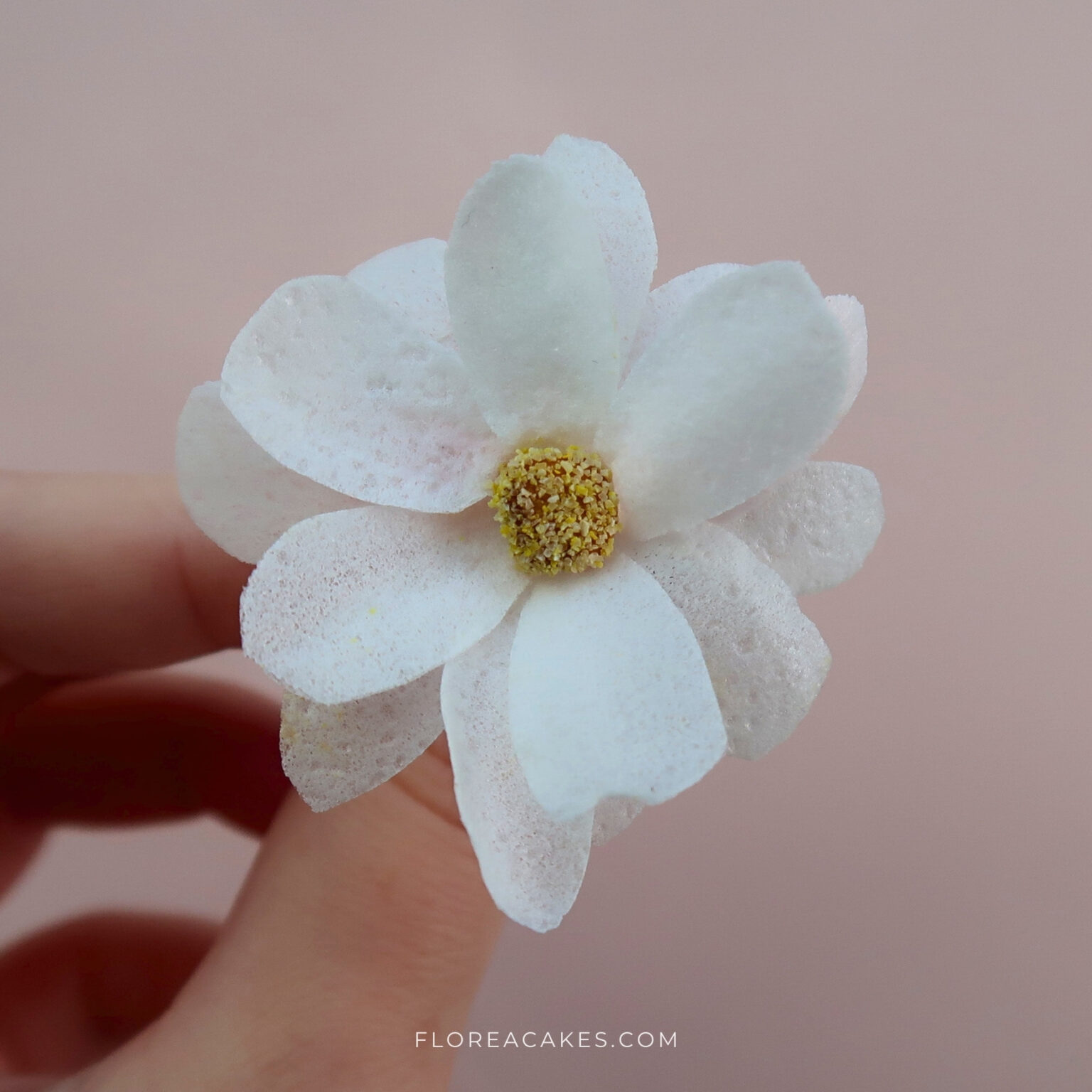 How To Make Wafer Paper Daisy рџњј Florea Cakes