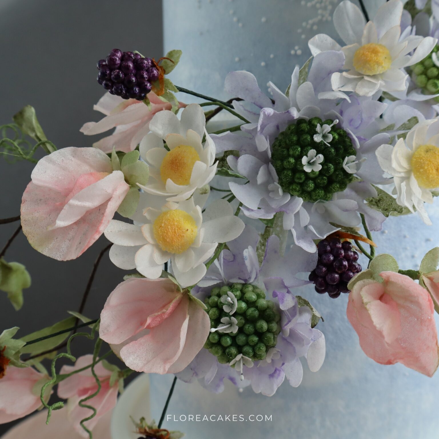 How To Make Wafer Paper Daisy рџњј Florea Cakes