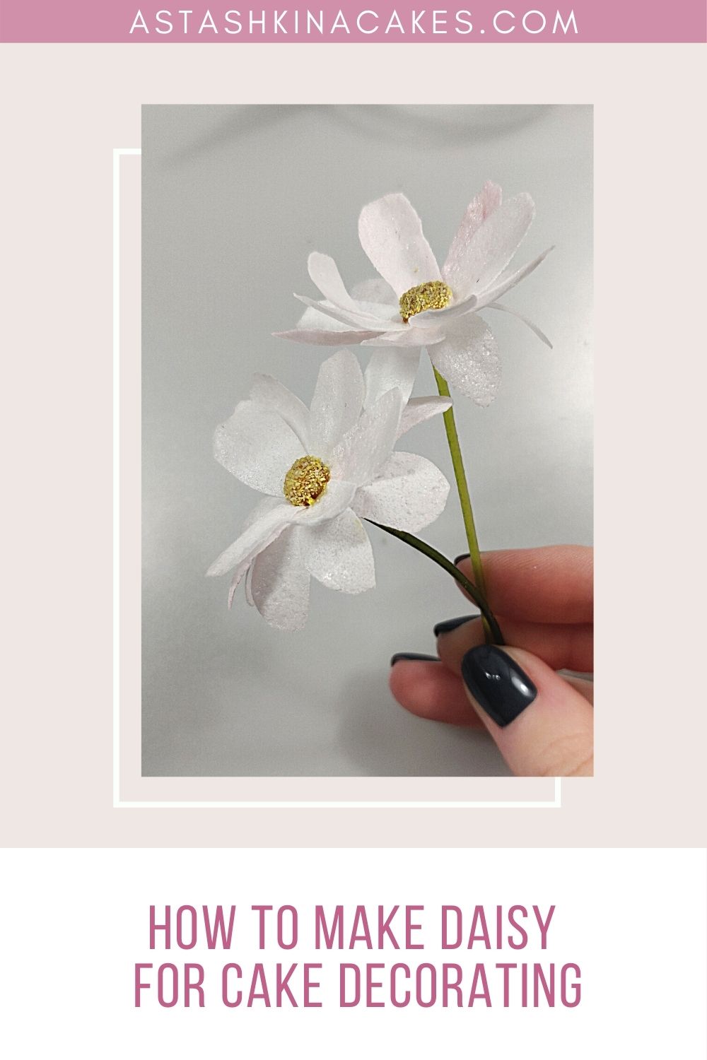 Make Wafer Paper Daisy Florea Cakes
