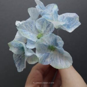 How to Craft Wafer Paper Blue Hydrangeas 💙 | Florea Cakes