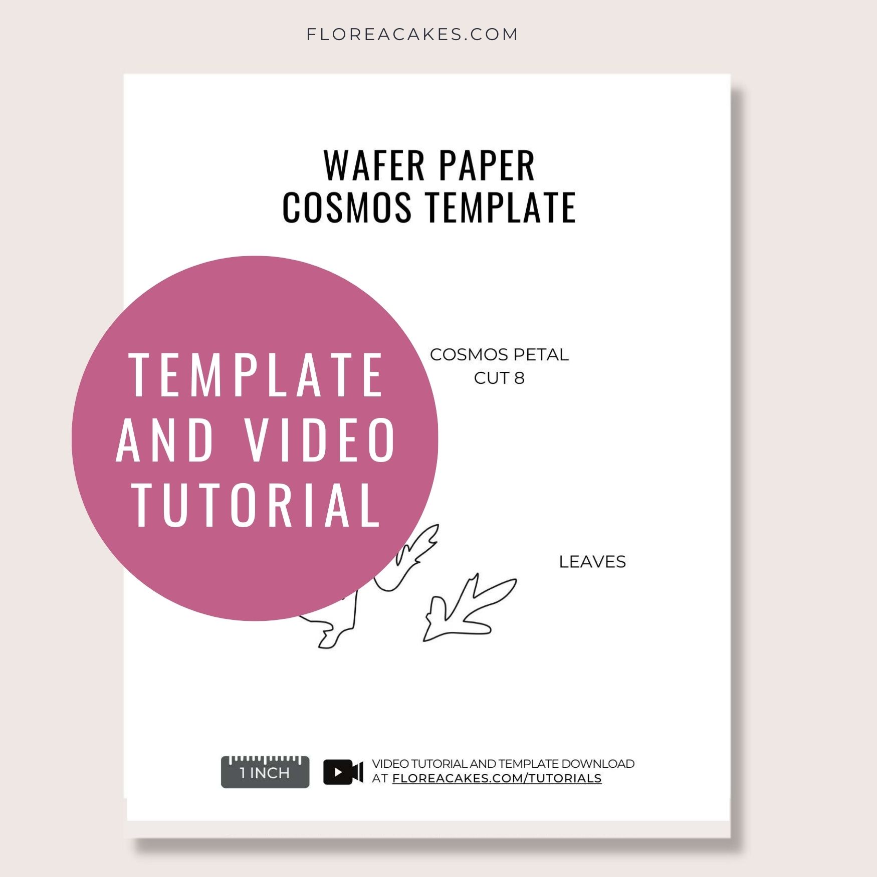 How to Make Wafer Paper Cosmos 🌺 | Florea Cakes
