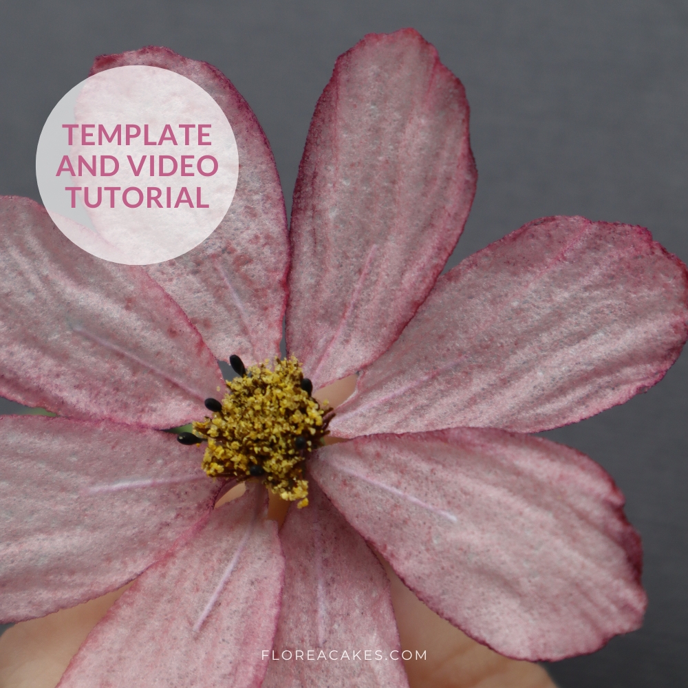How to Make Wafer Paper Cosmos 🌺 | Florea Cakes