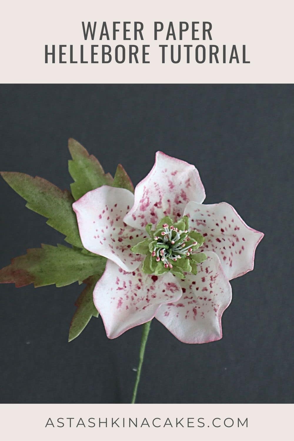 How to make Wafer Paper Hellebore | Florea Cakes