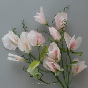 Video Tutorial: Wafer Paper Sweet Pea