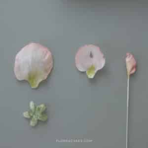 How to Make Wafer Paper Sweet Pea 🌸 | Florea Cakes