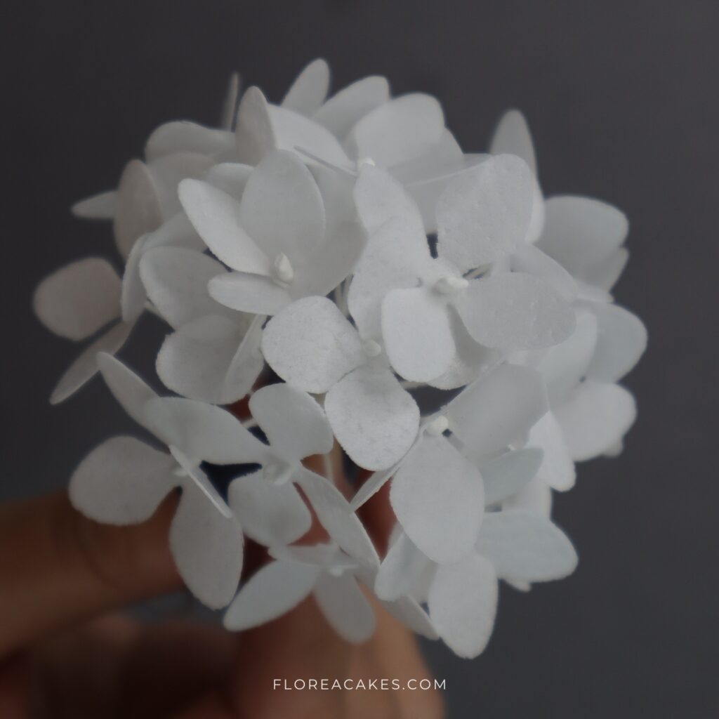 How to Make Quick Wafer Paper Hydrangeas 🪻 | Florea Cakes